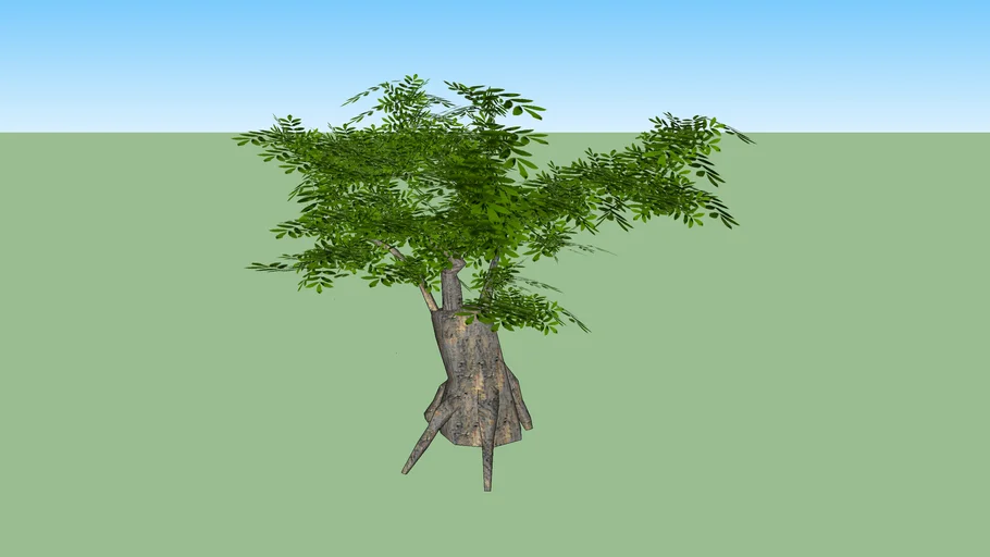 trees | 3D Warehouse