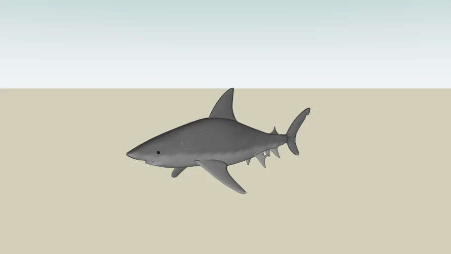 Shark | 3D Warehouse