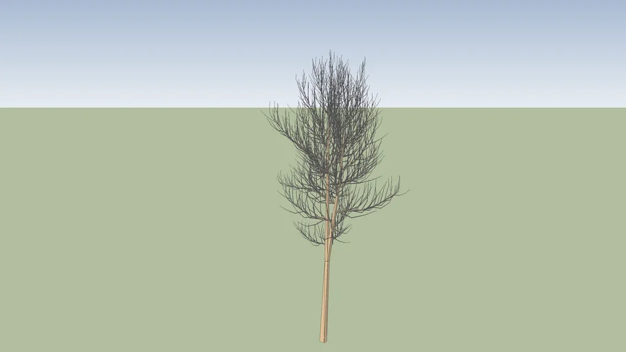 Leaves 3D Warehouse, 51% OFF | brunofuga.adv.br