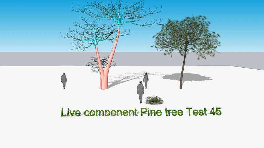 Live Component - Pine tree - test 45 | 3D Warehouse