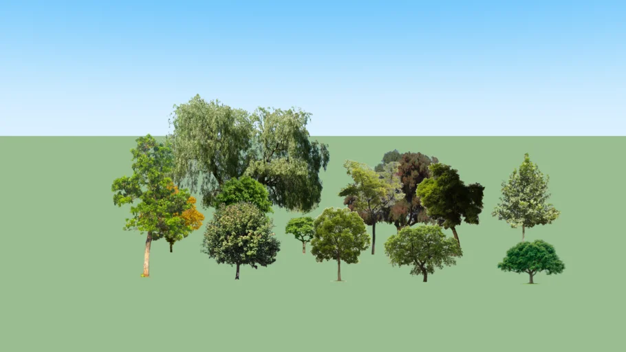 AE木质纹理特效插件实战应用-CSDN博客