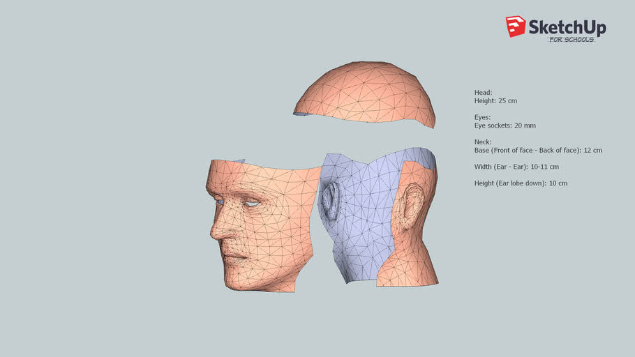 solid head mesh | 3D Warehouse