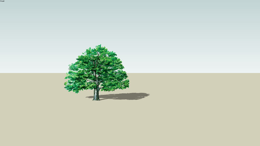 plant 2d | 3D Warehouse
