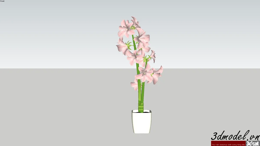 Arranjo 03 | 3D Warehouse