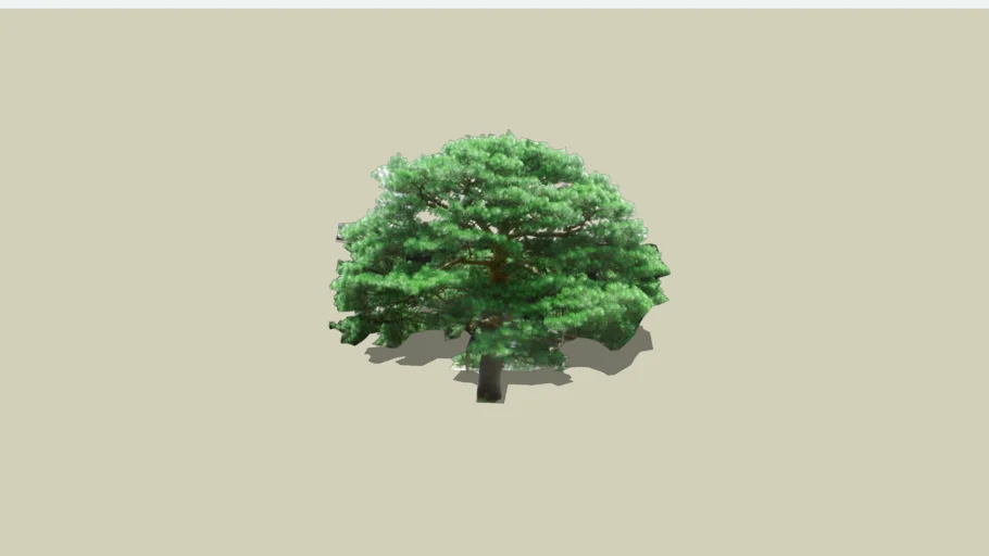 Japanese Tree | 3D Warehouse