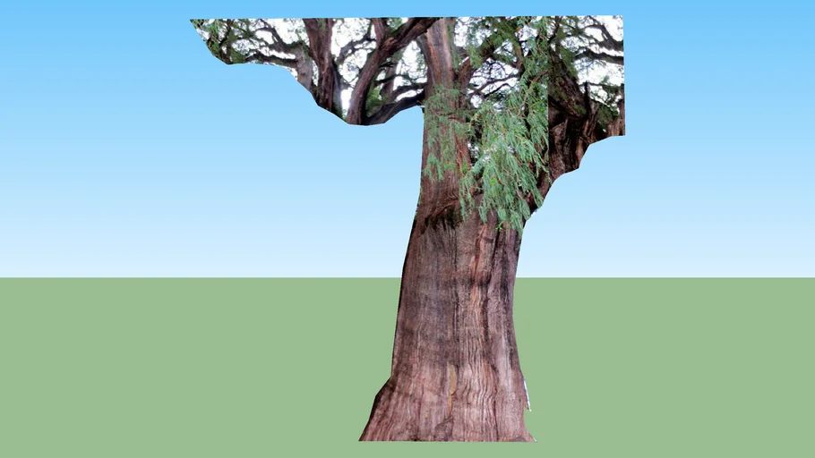 arvore | 3D Warehouse