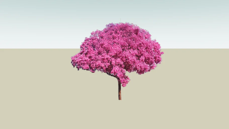 IPÊ ROSA | 3D Warehouse