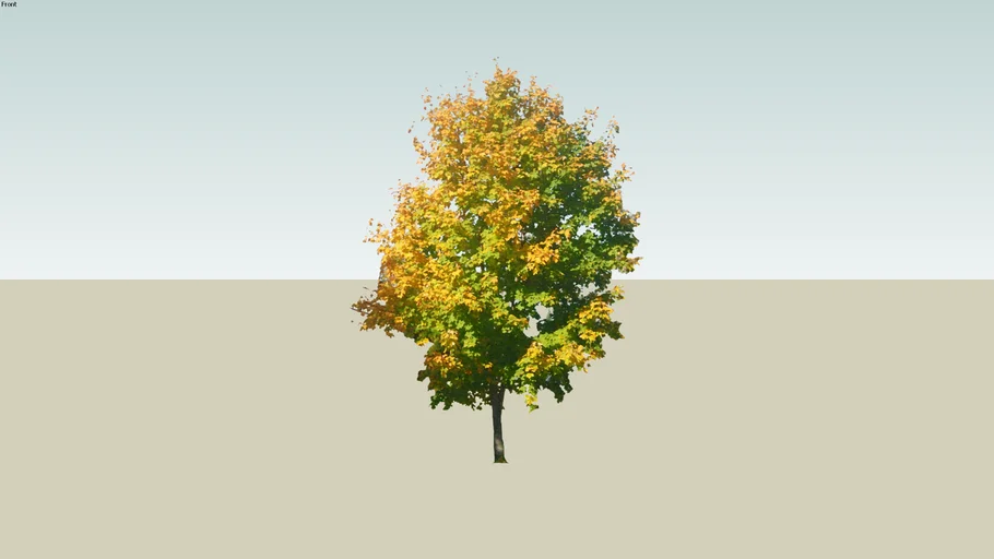 tree | 3D Warehouse