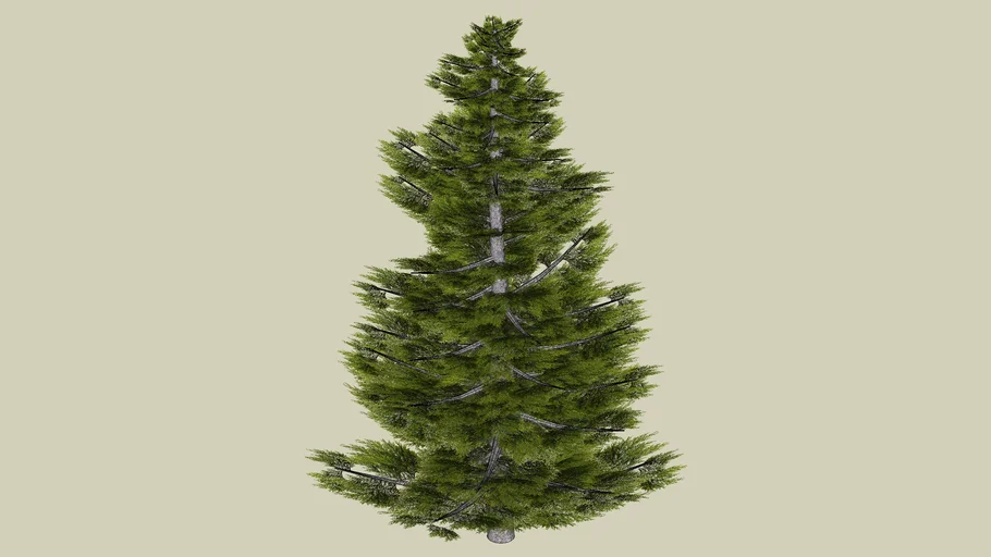 Pine3 | 3D Warehouse