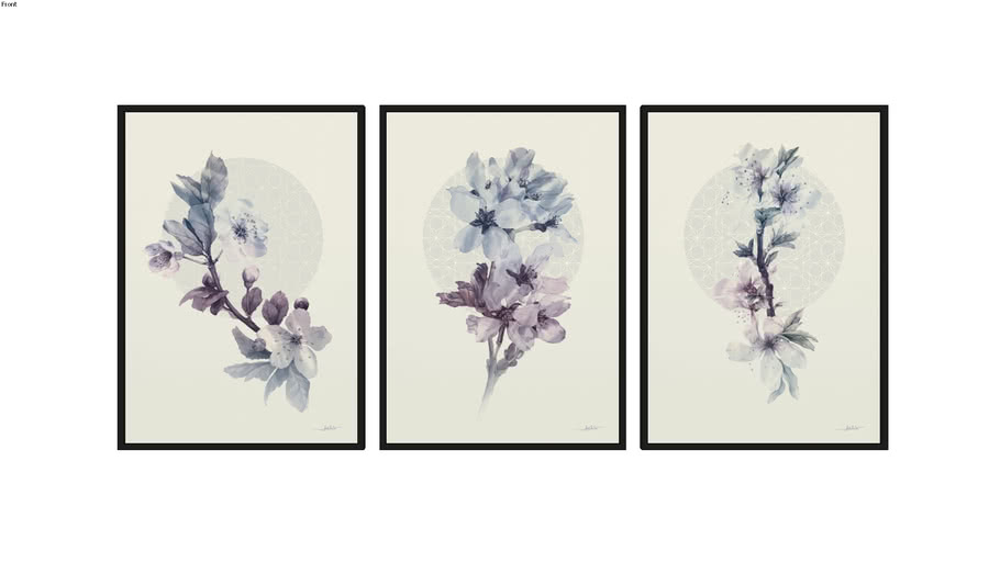 Quadros Floral Clean III, IV e V - Ammo Quadros | 3D Warehouse