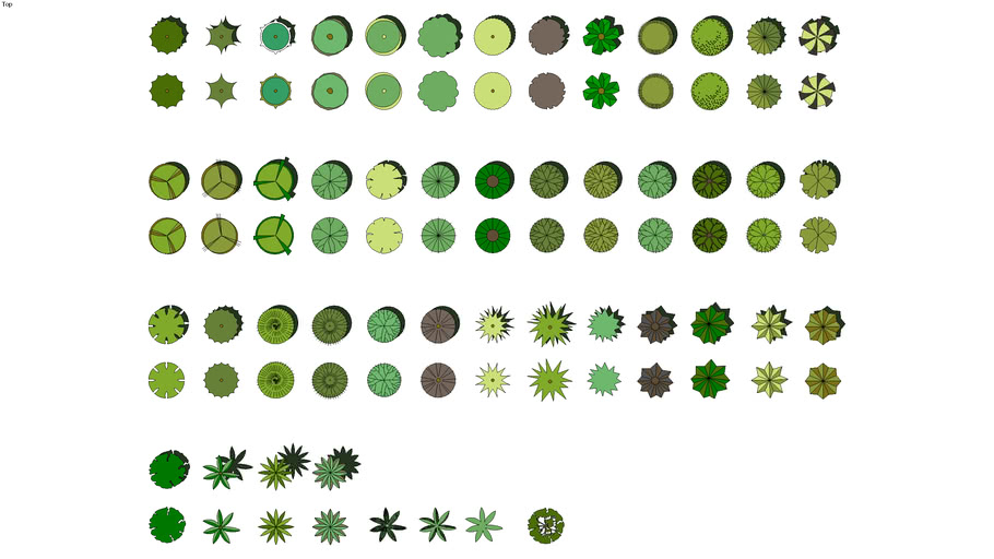2d Tree plan view | 3D Warehouse