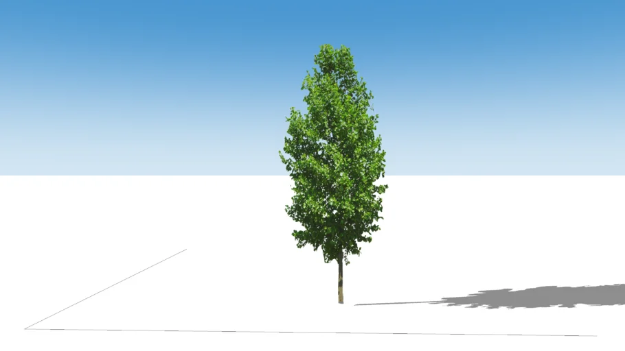 Árvore tree | 3D Warehouse