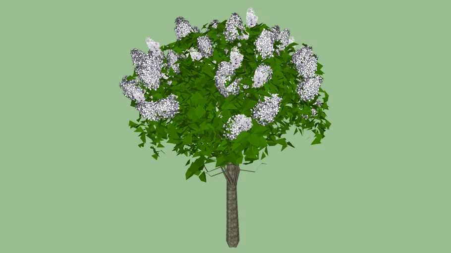 Hydrangea Tree | 3D Warehouse