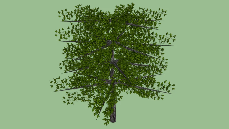 arvores | 3D Warehouse