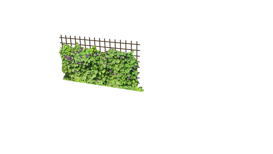 Flowering Trellis | 3D Warehouse