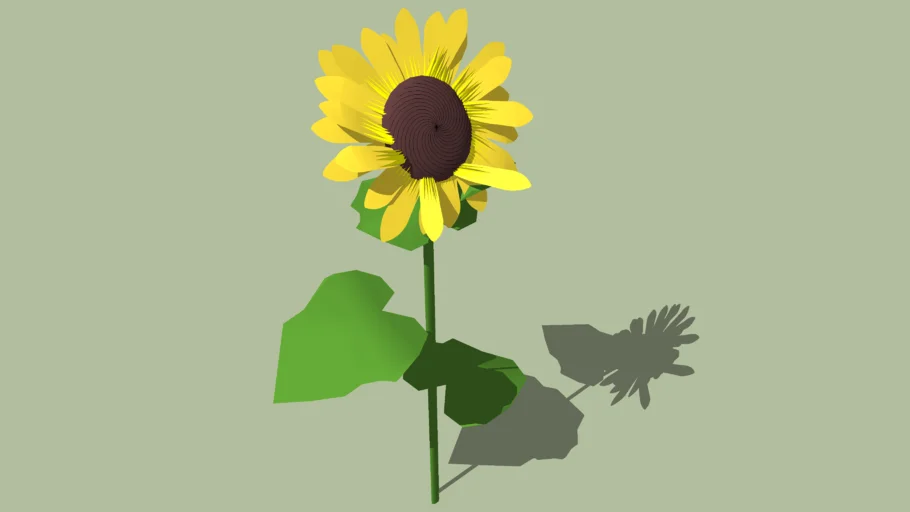 sunflower | 3D Warehouse
