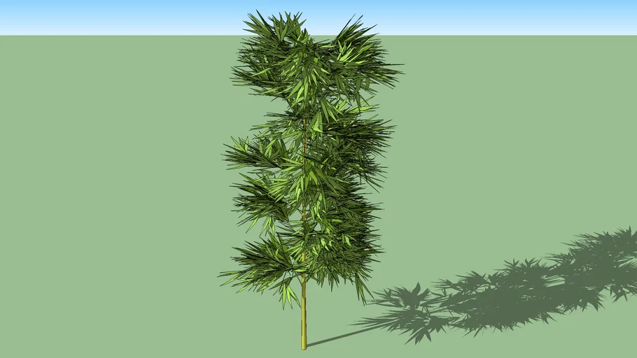 Pohon Bambu | 3D Warehouse