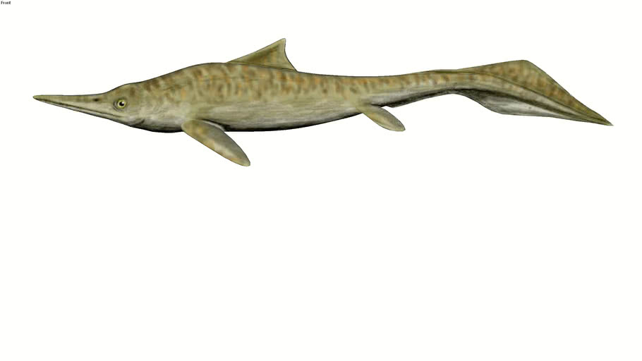 Mixosaurus | 3D Warehouse