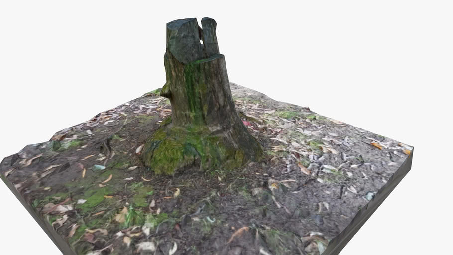 TREE STUMP | 3D Warehouse