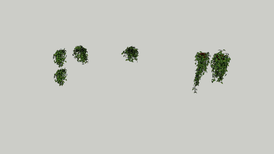 decorative wall flower | 3D Warehouse