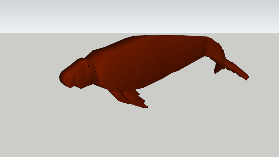 sea cow | 3D Warehouse