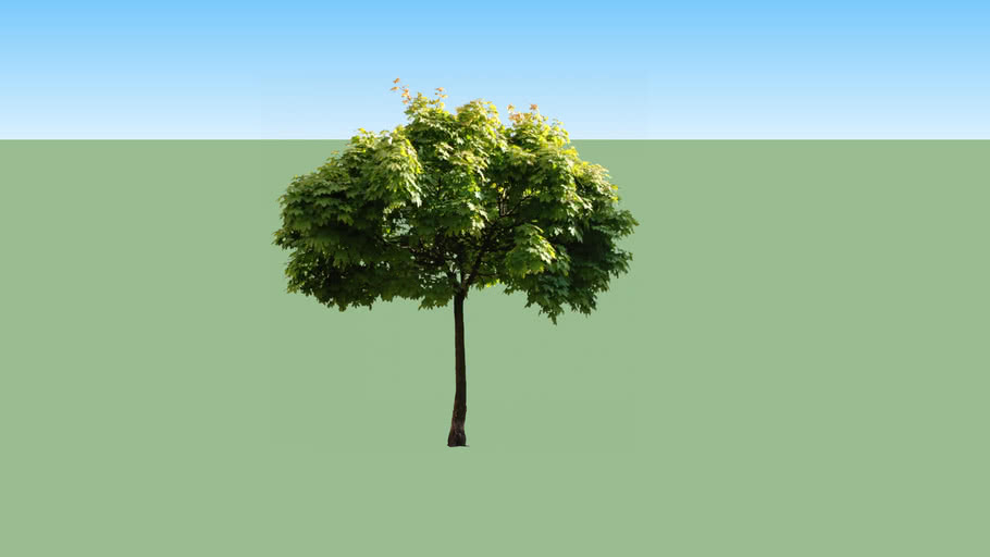 Árvore_Trees0027_3_S | 3D Warehouse