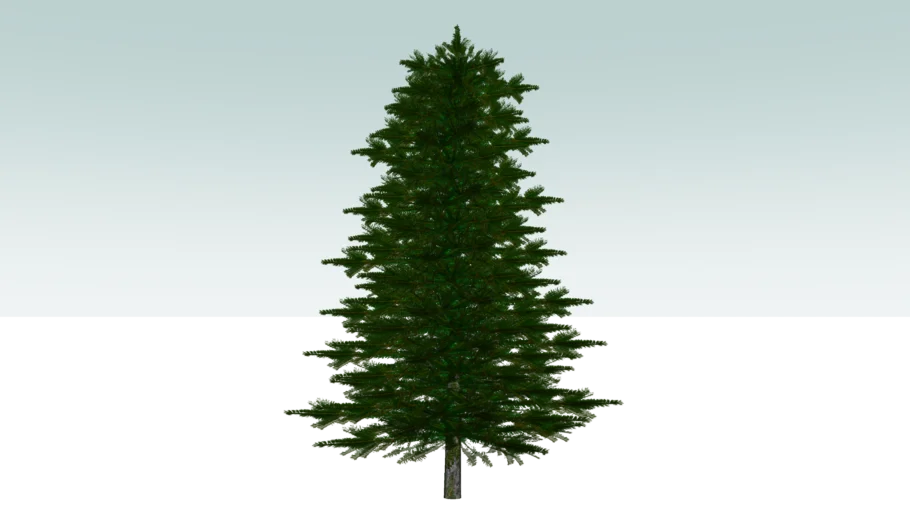 3D pine tree (low Poly: 350 kb) | 3D Warehouse