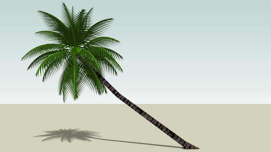 coconut+2 | 3D Warehouse
