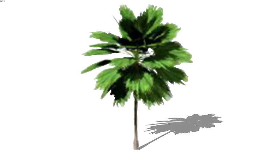 high res palm tree | 3D Warehouse