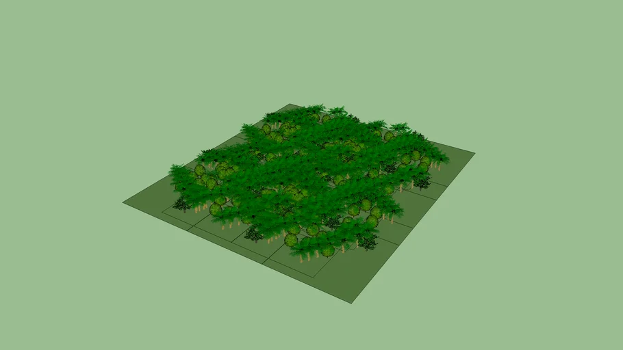 Giant Forest | 3D Warehouse