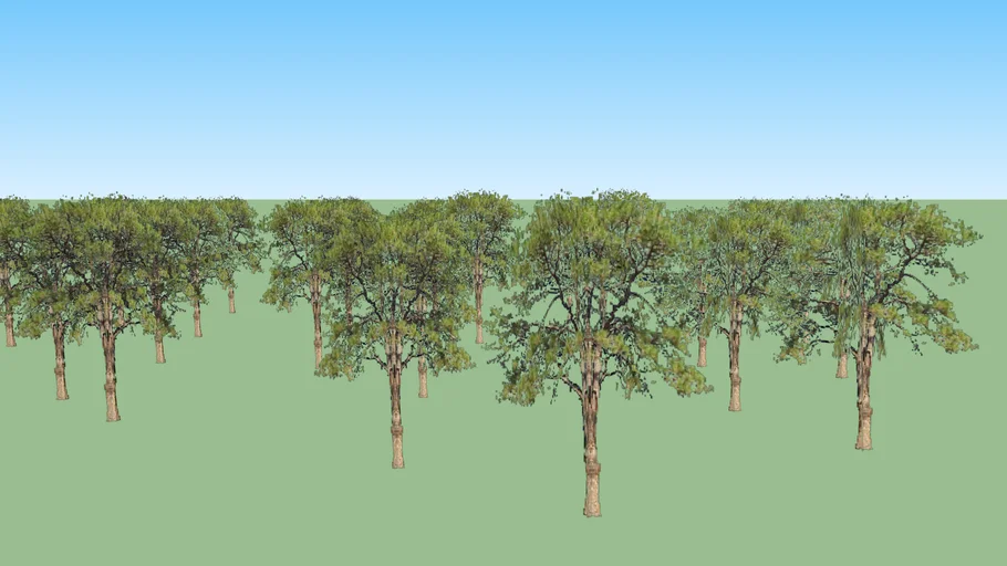 Realistic Trees | 3D Warehouse