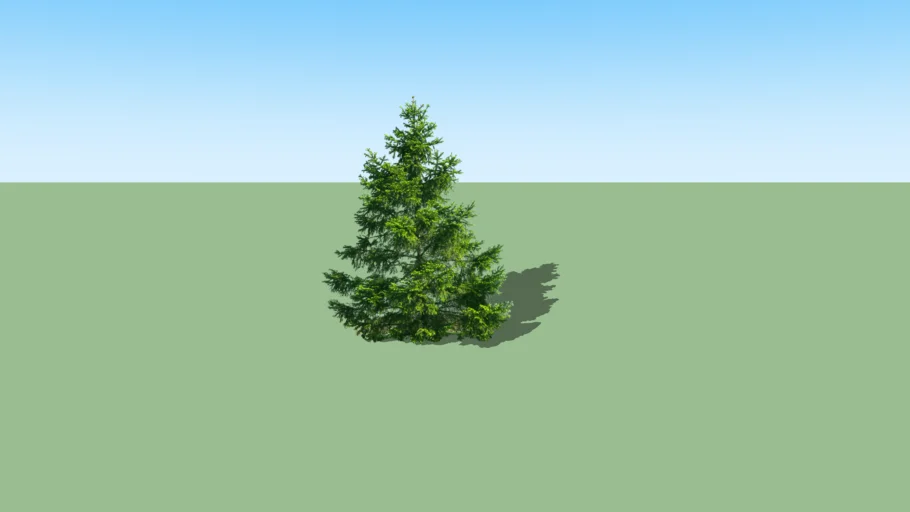 2d Fir tree 01 | 3D Warehouse