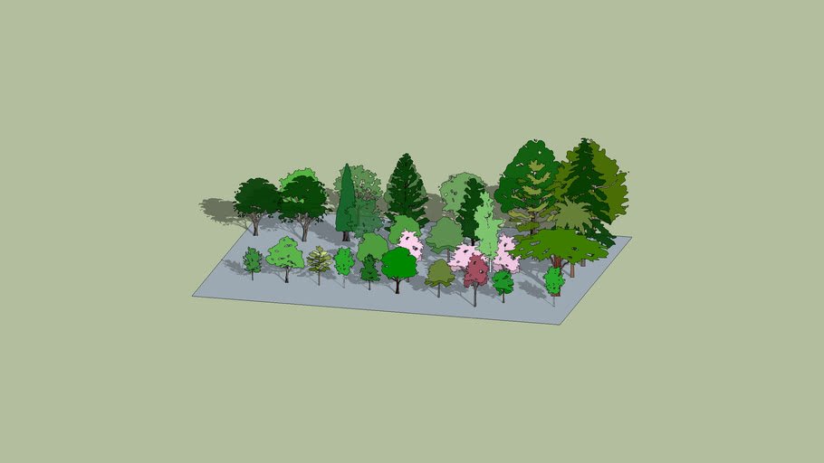 2D Trees & Shrubs | 3D Warehouse