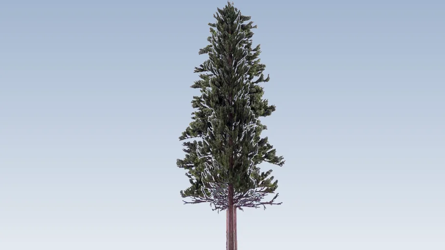 Spruce light green | 3D Warehouse