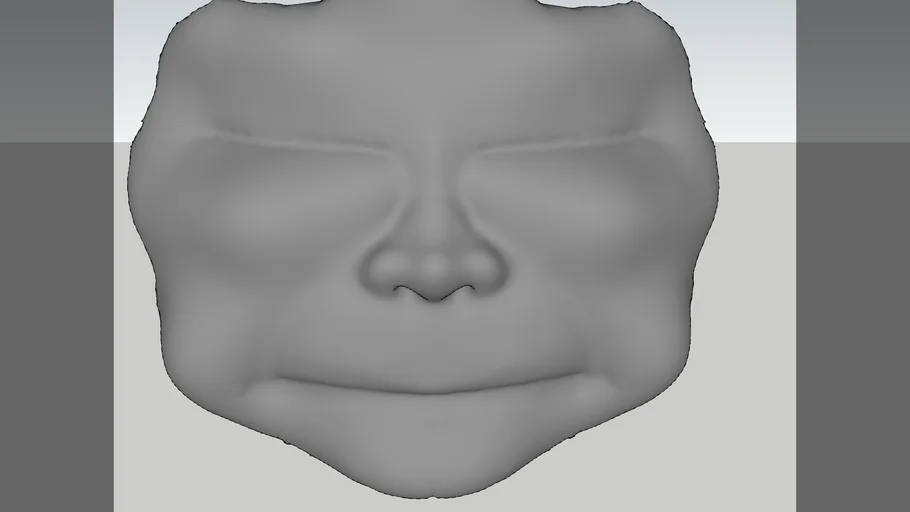 Face | 3D Warehouse