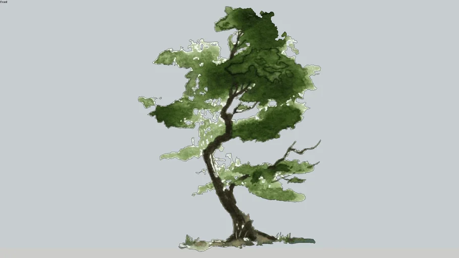 water color tree #2 pine shortcut | 3D Warehouse
