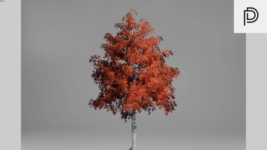 BlackGum_Fall_RT | 3D Warehouse