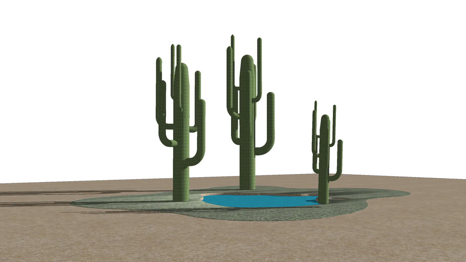 cacti | 3D Warehouse