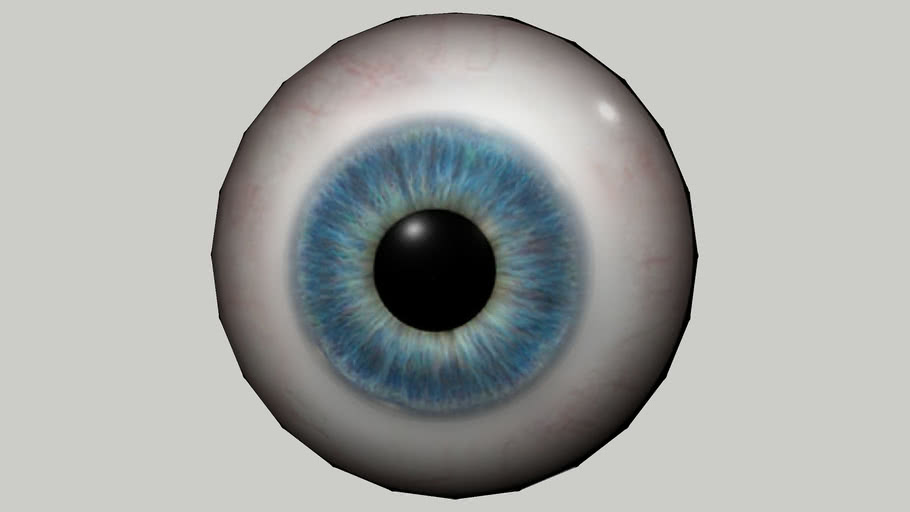 eyeball | 3D Warehouse