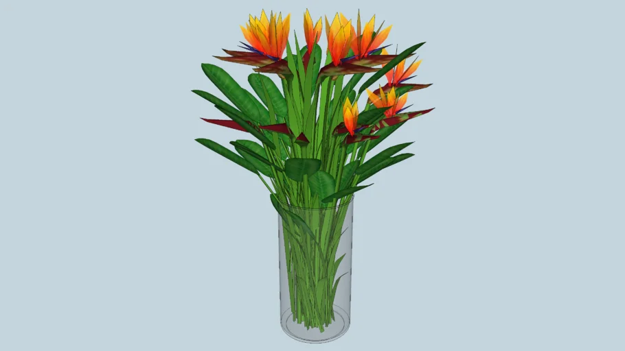 Strelitzia reginae | 3D Warehouse