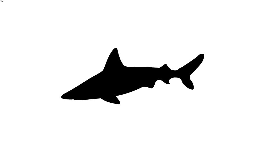 2D SHARK | 3D Warehouse