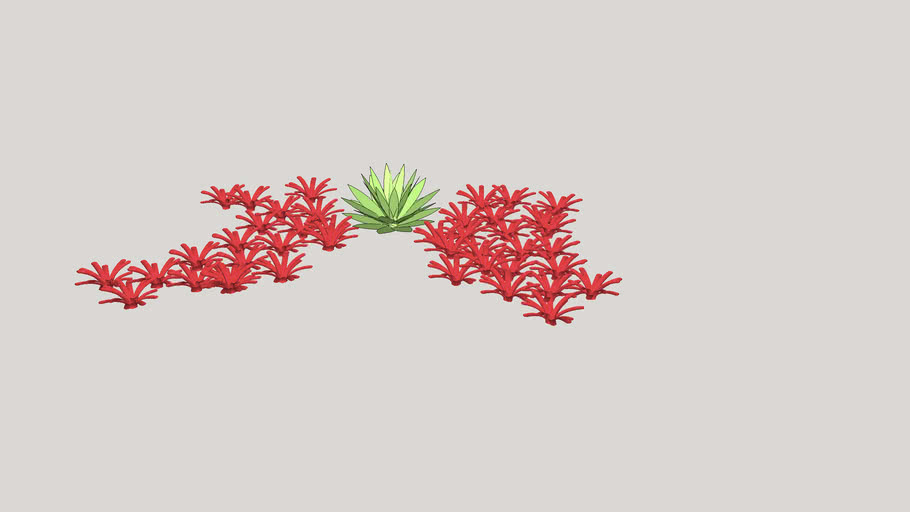 BROMELIAD CLUSTER _ AGAVE | 3D Warehouse