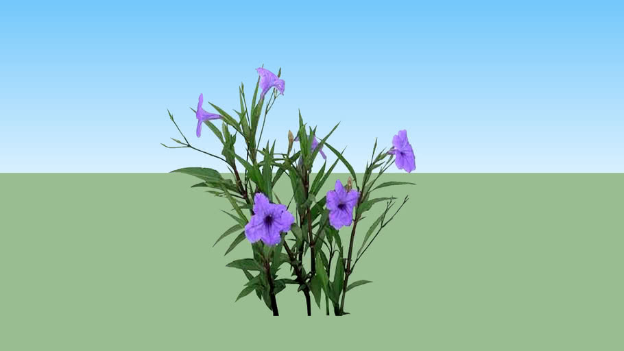 Rawelia Bunga Ungu 2 | 3D Warehouse