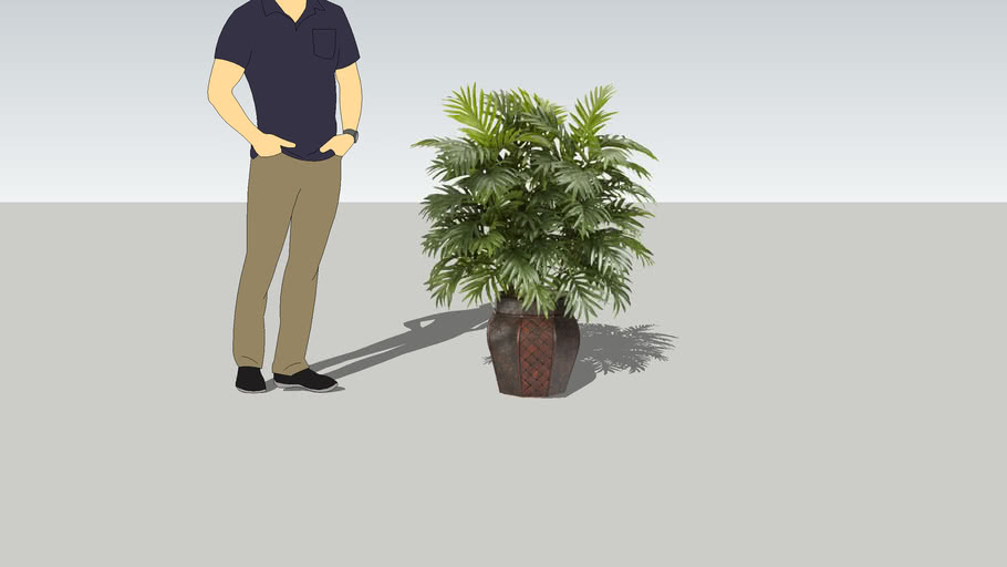 Plant Palm & pot | 3D Warehouse