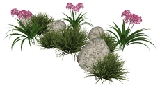 Flowers Trees | 3D Warehouse