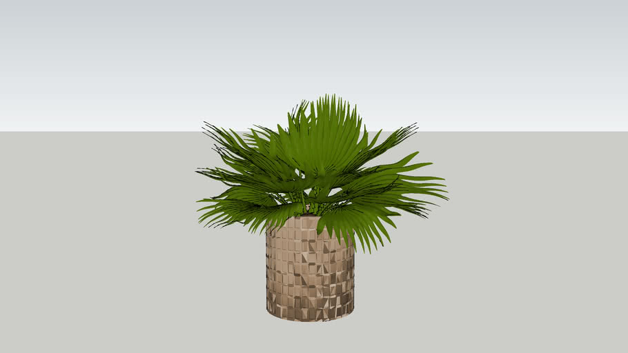 Plant Leaves | 3D Warehouse