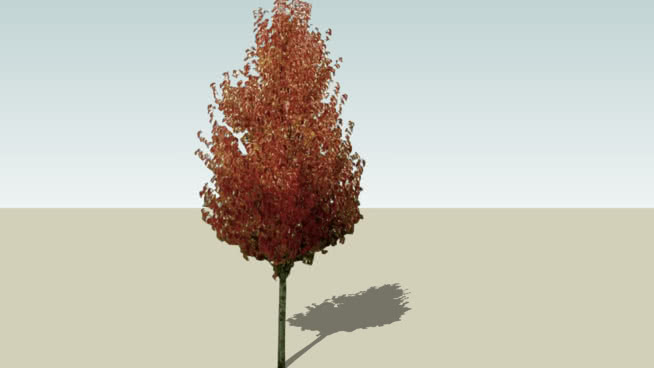 CÂY 2D/ 2D TREE/ 2D PLANT | 3D Warehouse