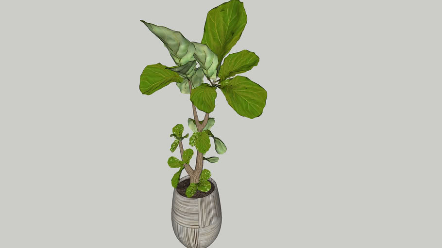 Vegetation 17 | 3D Warehouse