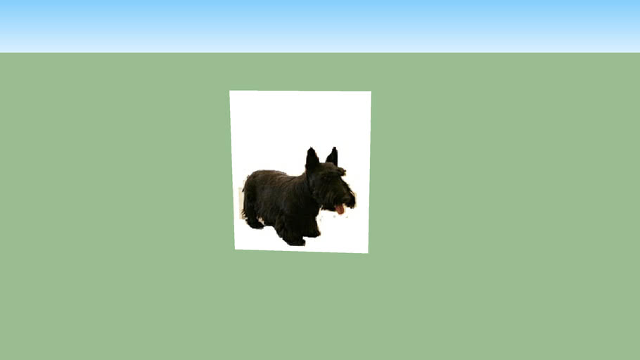 2D - Scottish Terrier | 3D Warehouse