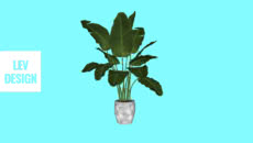 Vegetação | 3D Warehouse